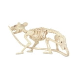 Official Crazybonez Faux Rat Skeleton - Walmart.com