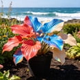 Chill Tolerant Perennial Hosta Mix – Colorful Variegated Leaves ...