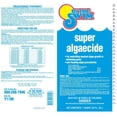 In The Swim, Super Algaecide, 1 Quart F055001012AE, For Yellow Algae ...