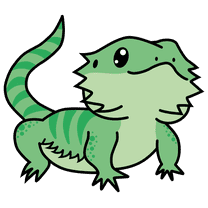 DS Inspirational Decals Iguana Armadillo Lizard Cartoon Wall Decals ...