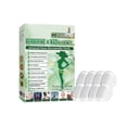 10-in-1 Nano Micro Skin Patch, 2026 New Natural Care for Women and Men ...