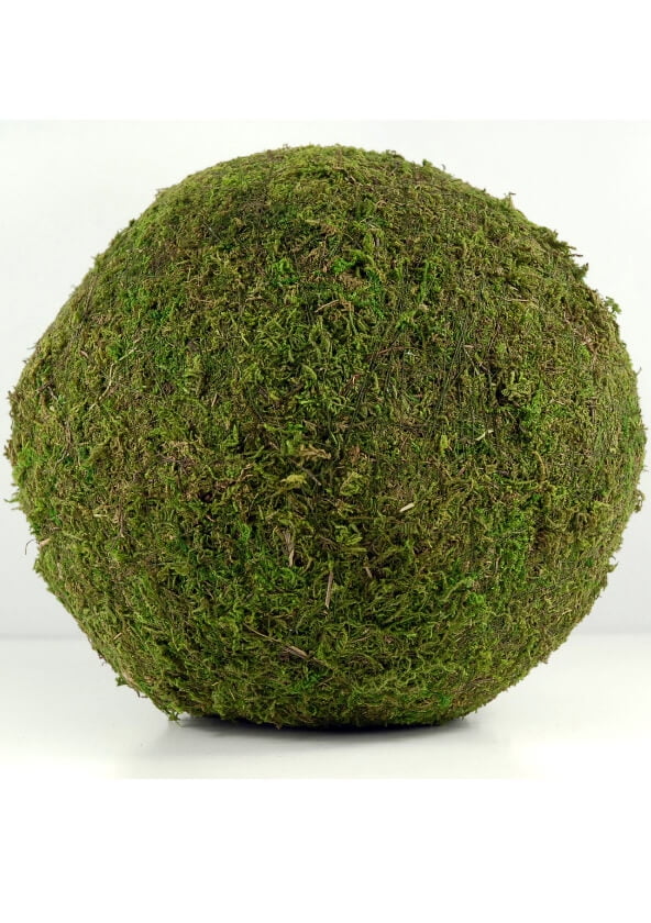 Moss Balls Preserved Moss 10in. 10in. Preserved Moss Ballnt. - Walmart.com