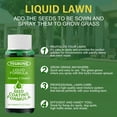 WINGKI Grass Spray Liquid, Lawn Seed Spray, Green Lawn Paint, 59ml ...