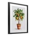 Stupell Industries Potted Orange Tree Black Framed Print Under Glass ...