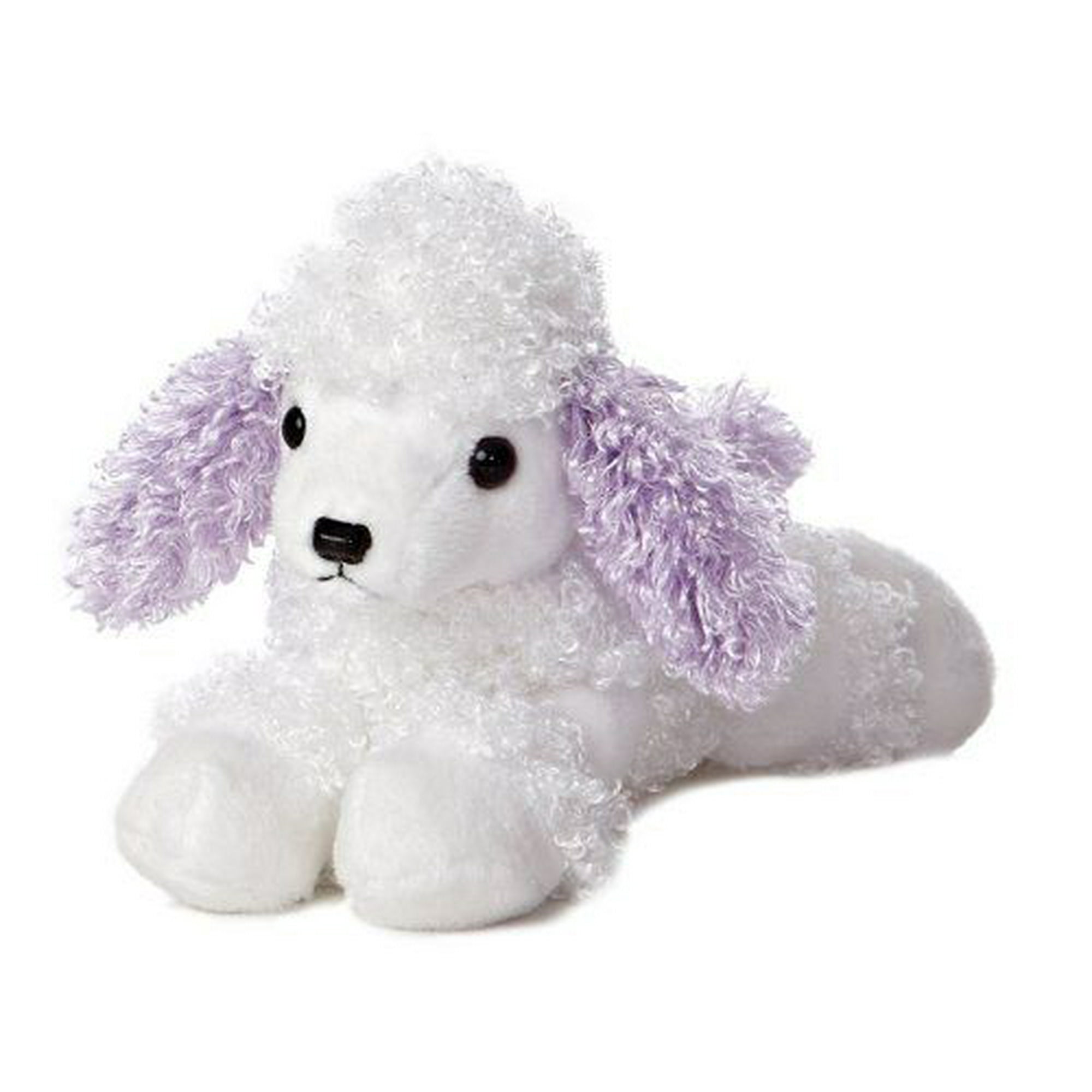 Purple Toy Poodle