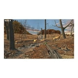 GAMEMILL ENTERTAINMENT Big Buck Hunter (PS4) - Walmart.com