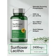 Sunflower Lecithin 2400mg | 60 Softgels | Naturally Occurring ...