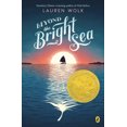 Beyond the Bright Sea, (Paperback) - Walmart.com