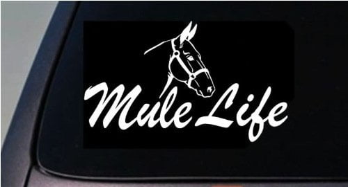 Mule life sticker farm donkey horse mule pull draft mule decal country ...