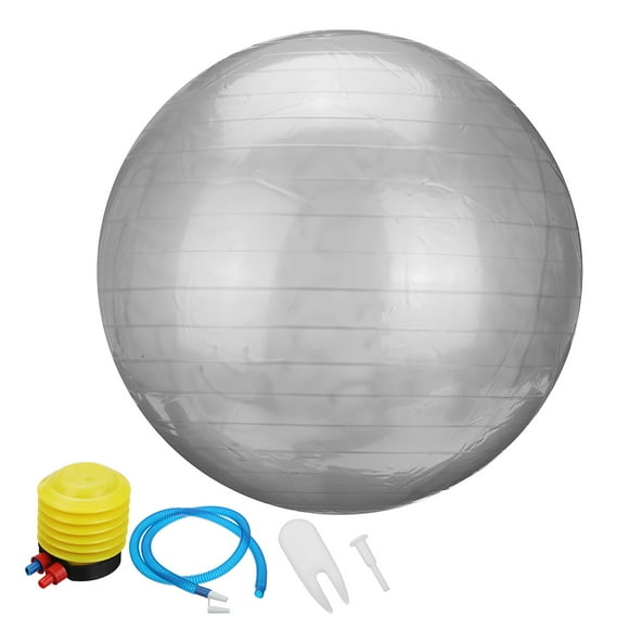 Silver Sneakers Exercise Ball