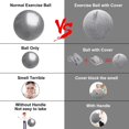 Exercise Ball Chair with Fabric Cover, Standard Size (25inches/65cm ...