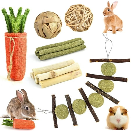 Small Animal Chew Toys, Dwarf Rabbit Toy, Guinea Pig Toys, Hamster ...