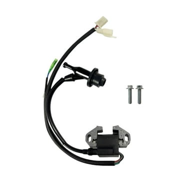 POWER PRODUCTS Inverter Module Replacement for Predator 5000-Watt Dual ...