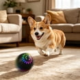 Cmunyle Dog Ball Toy Motorized Rolling Ball Rechargeable Interactive ...