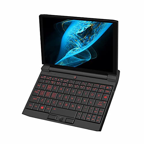 Windows Mini Laptop