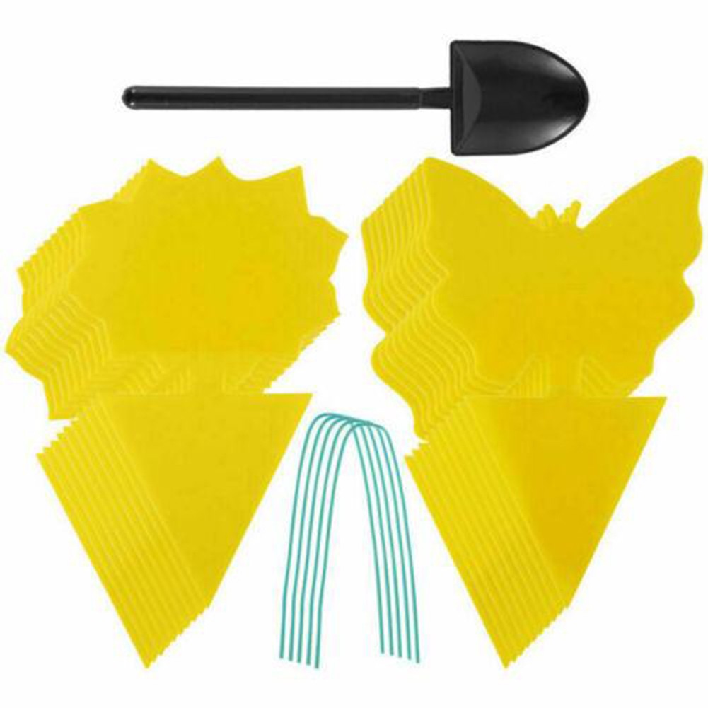 RANMEI 41x Sticky Fly Trap Paper Traps Fruit Flies Insect Aphids Glue ranmei-41x-sticky-fly-trap-paper-traps-fruit-flies-insect-aphids-glue
