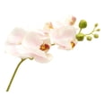17 Inch Artificial Butterfly Orchid, Realistic Faux Phalaenopsis for ...