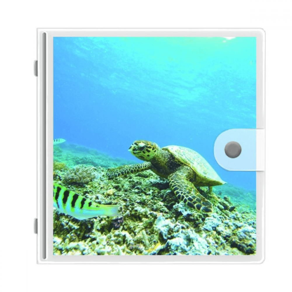 Ocean Sea Turtle Fish Science Nature Picture Photo Album Wallet Wedding ...