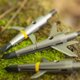 Swhacker #219 Crossbow Broadheads, 2-Blade 100 Grain 1.75" Cut, (Pack ...