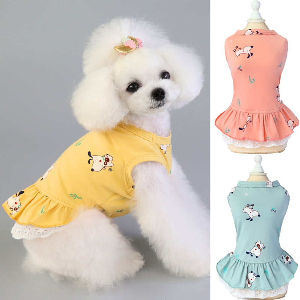 Dogs In Cute Outfits