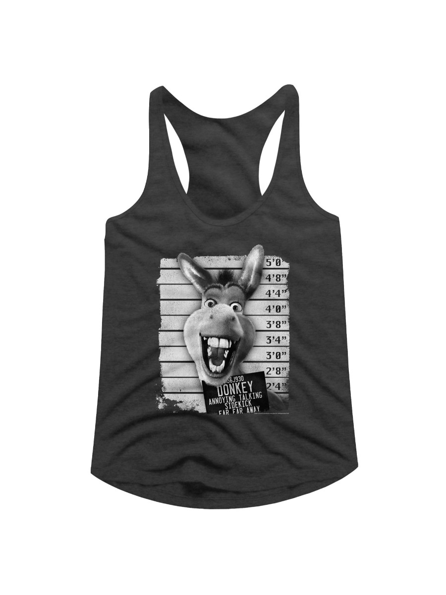 American Classics - Shrek Animated Comedy Movie Donkey Annoying ...