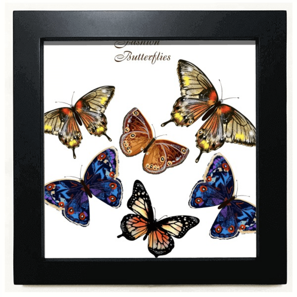 Butterflies with different colour Wings Black Square Frame Picture Wall ...