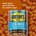 BUSH'S Baked Beans Canned Navy Beans with Spices 27.5 oz - Walmart.com
