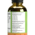 Resp-Aid for Dogs, Cats & Small Pets: Relief for Respiratory Issues ...