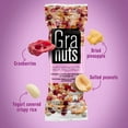 Granuts Fruit & Yogurt TMA3 Mix | Crispy, Yogurt-Covered Rice | Peanuts ...