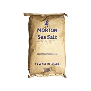 Free Shipping! Morton Salt Iodized Table Salt Bulk 25 lb (11.3 kg) Poly ...