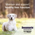 Denamarin Chewable Supplements with SAMe & Silybin for Dogs, 75ct by ...