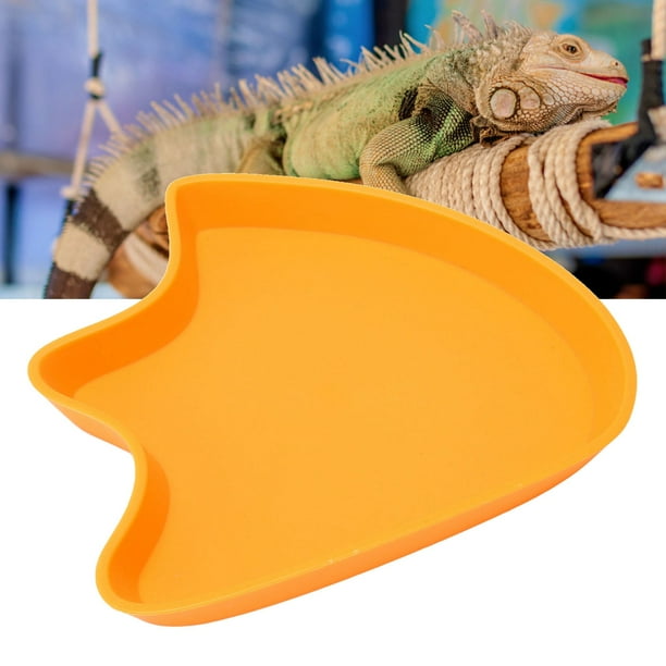 Reptile Food Dish Bowl, Wet And Dry Universal Reptile Food Water Bowl ...