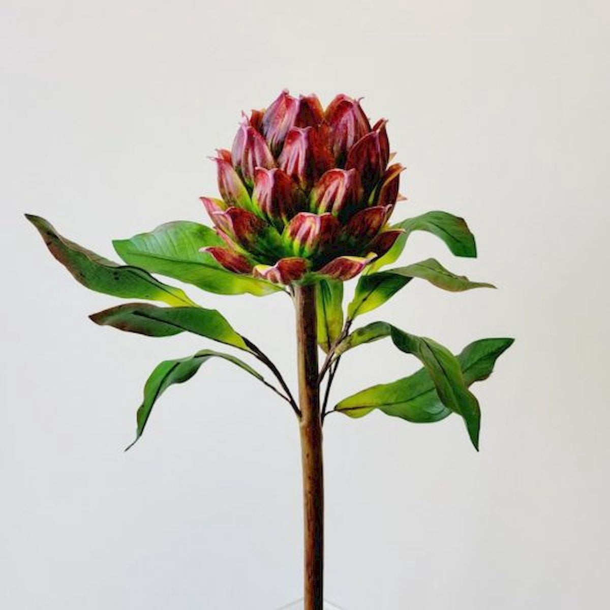 Red Dragon Fruit Stem Faux Plants And Trees - Walmart.com