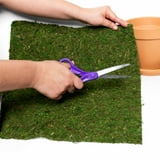 ProFlora 16" x 18" Green Moss Sticky Back Mat, 1 Each Decoration 16in ...