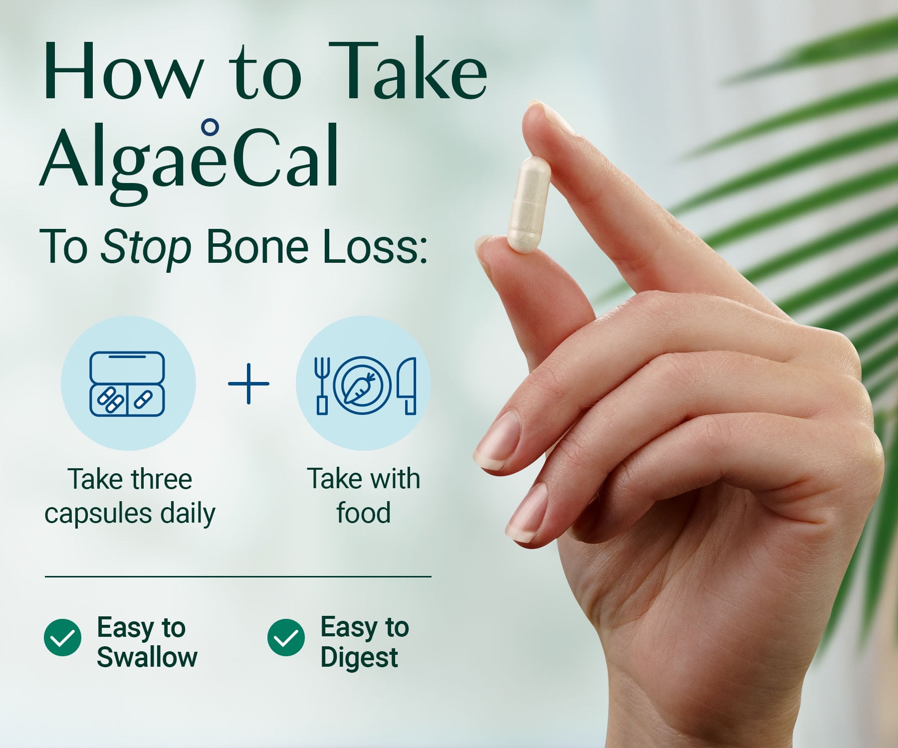 AlgaeCal - Clinically Supported Plant Based Calcium Philippines | Ubuy