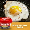 Bacon Up Grease for Cooking - 14 Ounce - 2Pack - Walmart.com
