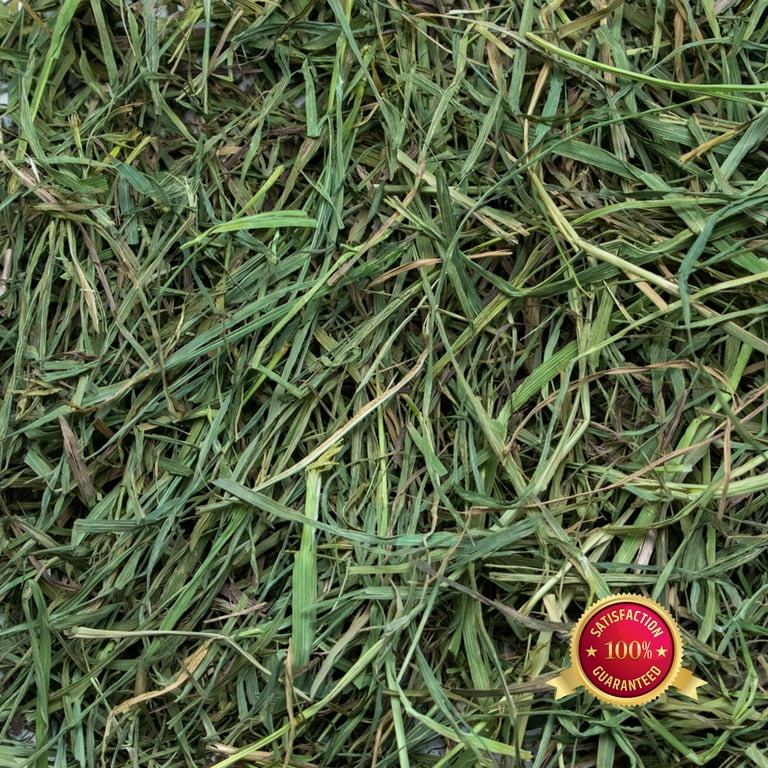 Timothy Hay For Rabbits