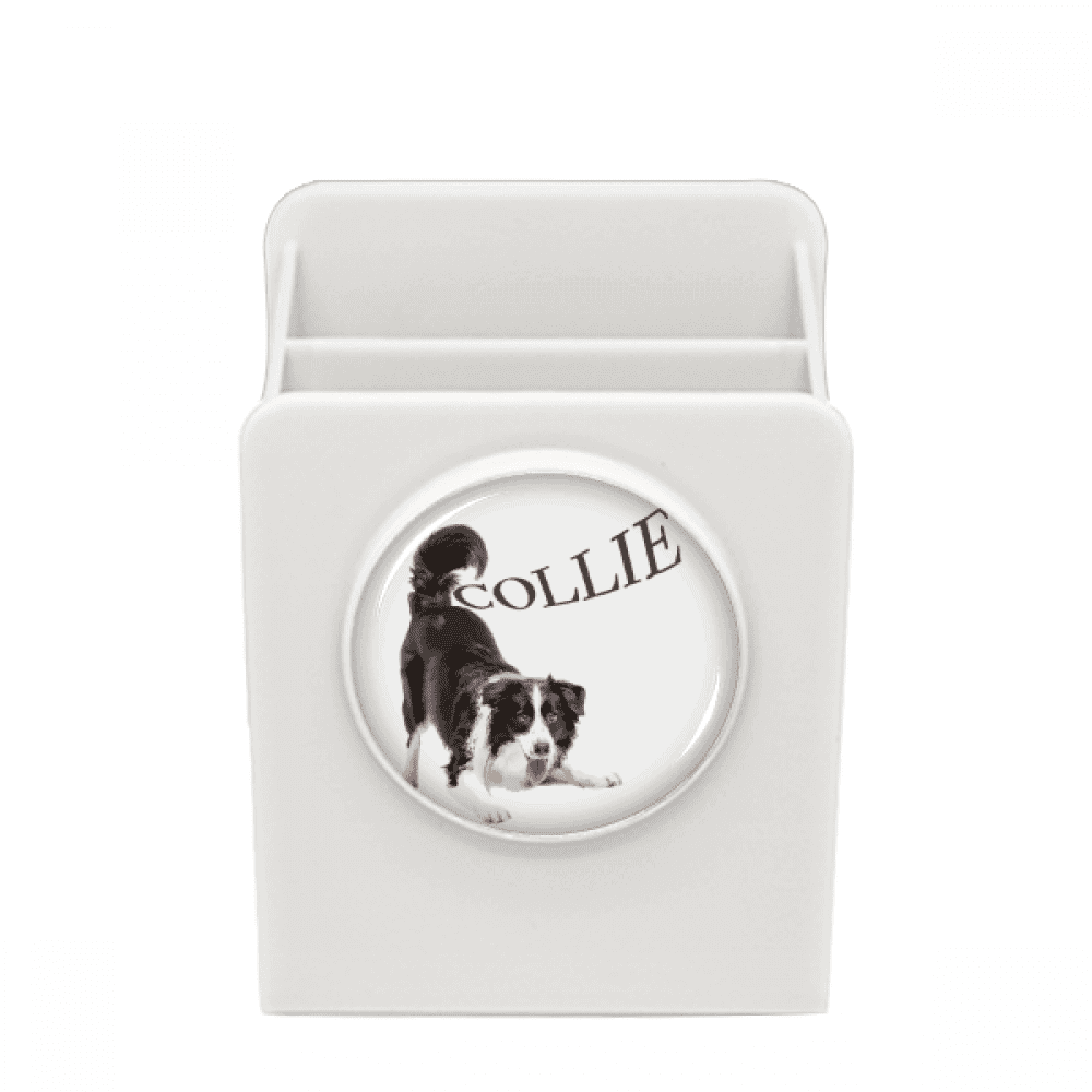 Border Collie Farm Pet Art Deco Fashion Desk Pencil Holder Cup Pen ...
