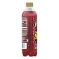 Splash Refresher Fizzy Black Cherry Flavor Sparkling Water Beverage, 20 Fl Oz Bottle - Walmart.com
