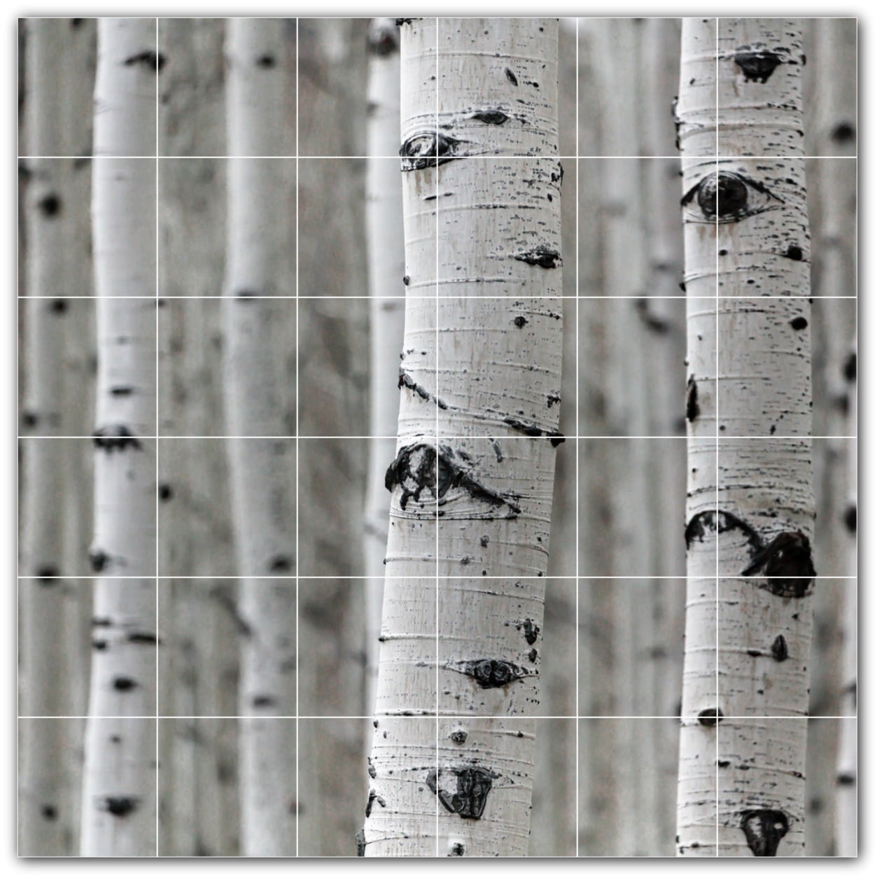 Picture-Tiles.com: Trees Ceramic Tile Wall Mural WAL501024-66M. 36"W x ...