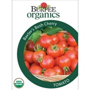 Burpee Roma VF Tomato Vegetable Seed, 1-Pack - Walmart.com