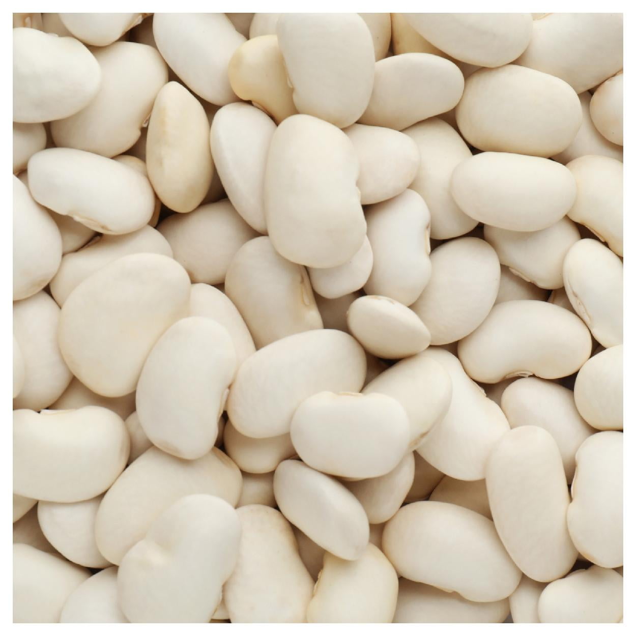Everwilde Farms - 1 lb Henderson Bush Lima Bean Seeds - Gold Vault Bulk ...