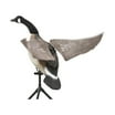 Avian-X AXP Lesser Canada Goose Decoy - Walmart.com