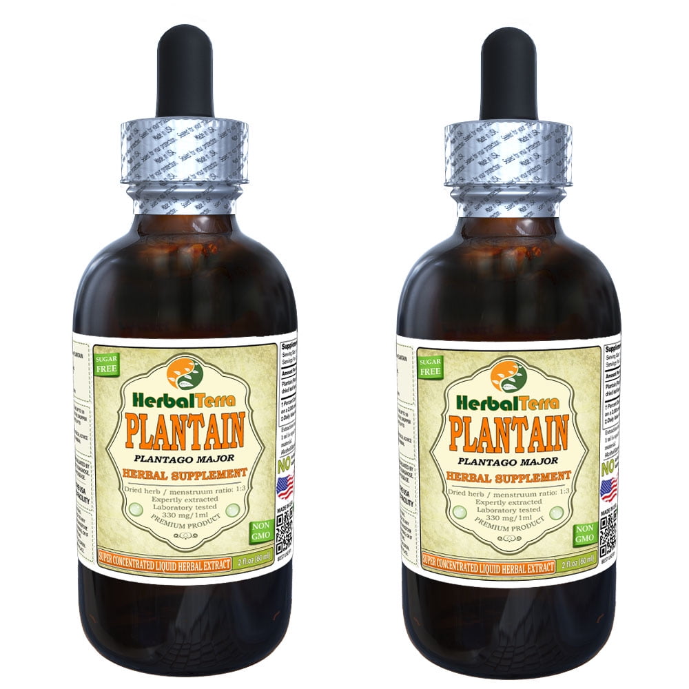 Plantain (Plantago major) Tincture, Organic Dried Leaves Liquid Extract ...