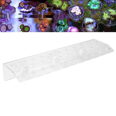 Firmly Hung On Wall Coral Bracket, Solid And Non- Coral Rack, For ...