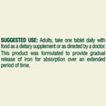 Spring Valley Slow Release Iron General Health & Wellness Dietary ...
