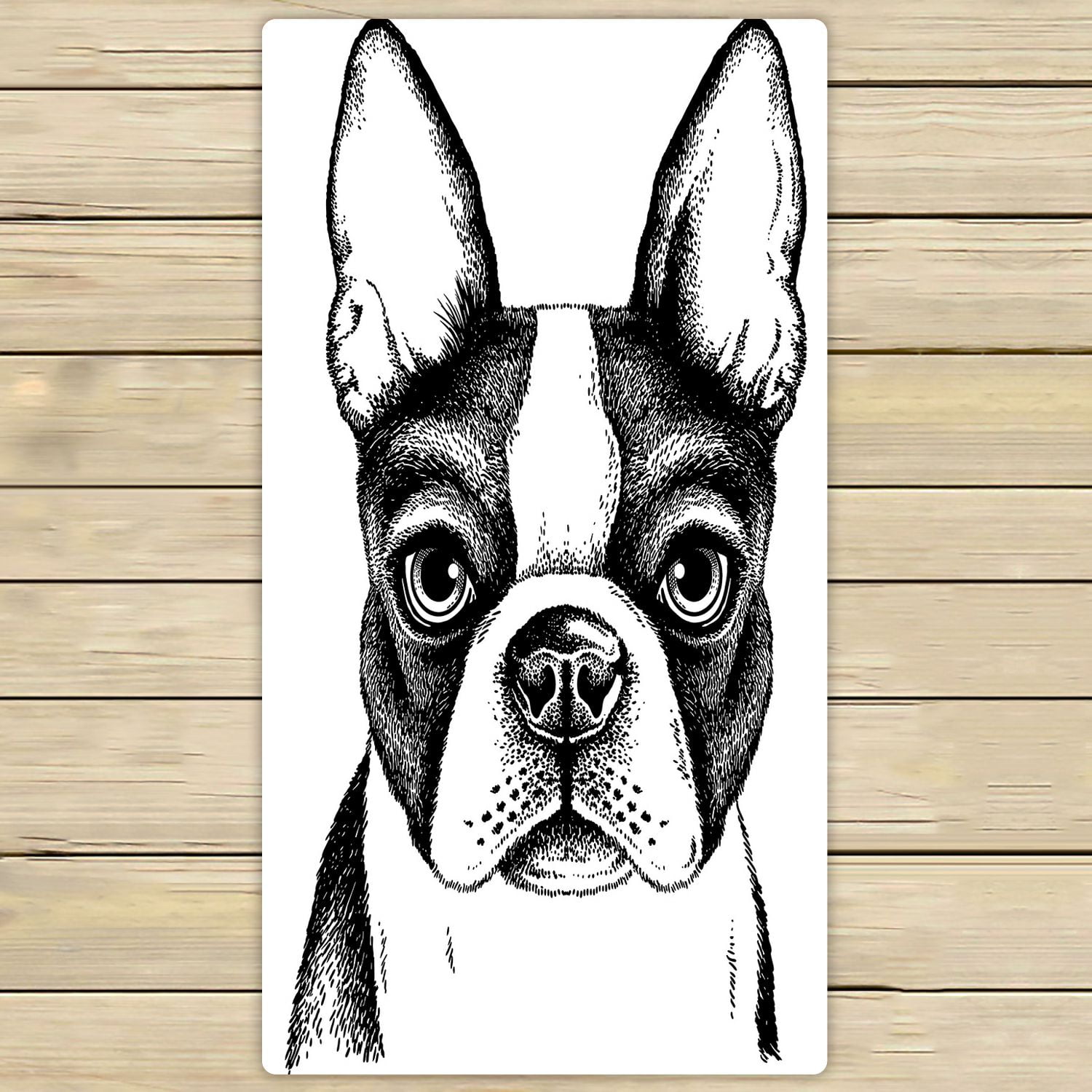 Boston Terrier Face Drawing