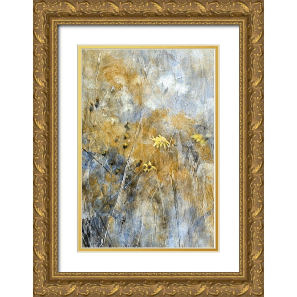 Devos, Delphine 17x24 Gold Ornate Wood Framed with Double Matting Museum Art Print Titled - A ...