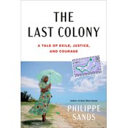 Brave Bessie : Queen of the Sky (Hardcover) - Walmart.com