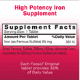 Feosol Original with Ferrous Sulfate Iron Supplement Tablets, 120 Ct ...